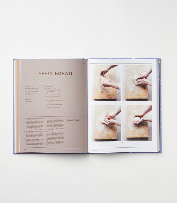 Multi The Bread Book | Karen Kane